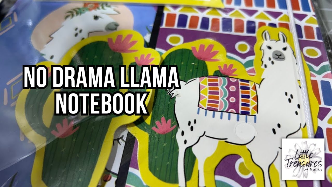 Check out this Llama-themed composition notebook (auction item) - YouTube