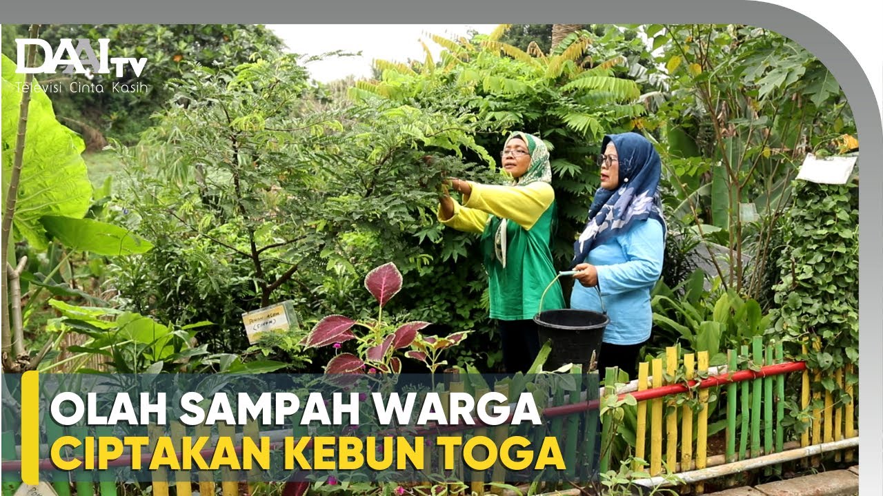 Kebun Toga dari Sampah Dapur - YouTube