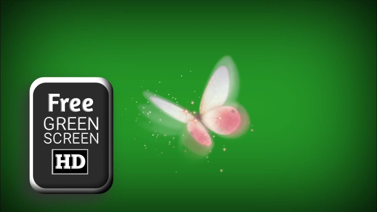 Pink butterfly green screen video effects | green screen butterfly ...