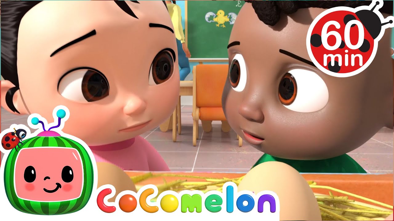 CoComelon - Numbers Song with Little Chicks | Learning Videos For Kids ...