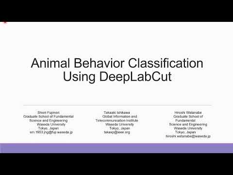 Animal Behavior Classification Using DeepLabCut - 1570656533 - Shiori ...