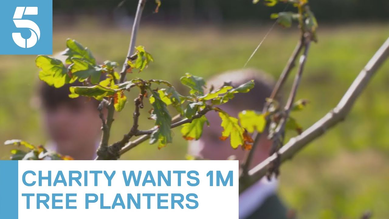 Britain's biggest ever tree planting campaign | 5 News - YouTube