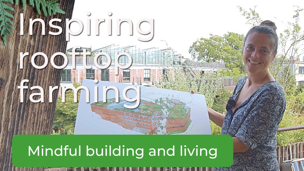 Harvesting the Sky: The Rise of Rooftop Farming in Urban Areas - YouTube