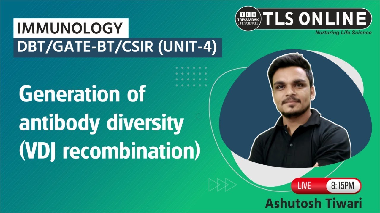 Generation of Antibody Diversity (VDJ recombination) | Immunology ...