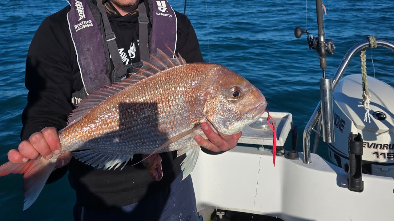 Slow jigging (junkie jigs) on the boat for winter snapper out kapiti ...