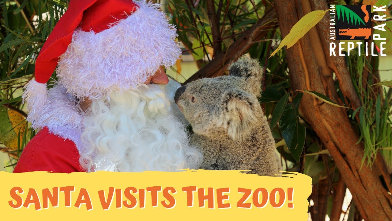 Santa Visits the Australian Reptile Park | Australian Reptile Park ...