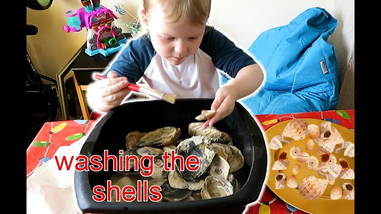 WASHING BEACH SHELLS with ALFIE | BEACH SHELLS | Alfie's World # ...