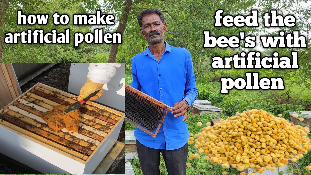 how to make artificial pollen/feed the bee's with artificial pollen ...