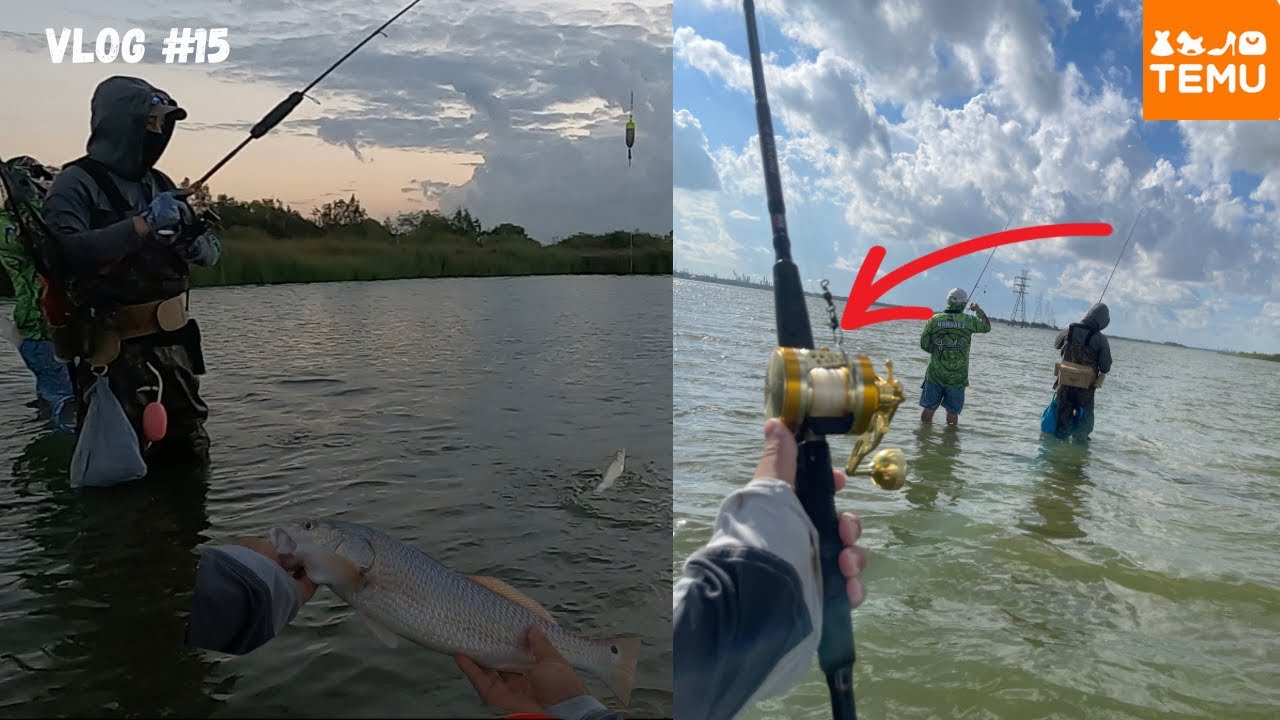 Short Wade Fishing Video W/ TEMU REEL 🎣 #temu - YouTube