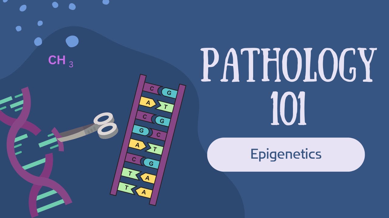 Pathology 101 | Epigenetics - YouTube