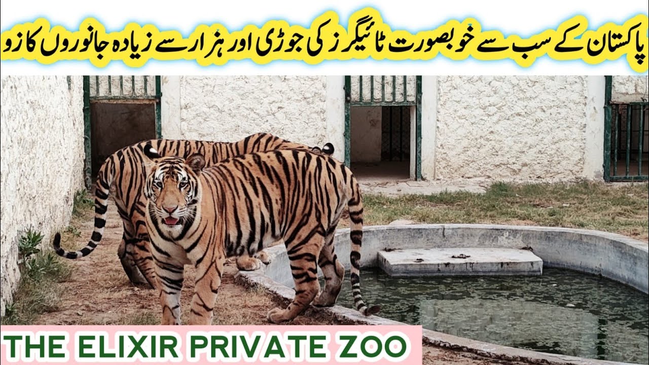 Elixir Zoo Karachi With Ticket Price | Elixer Private Zoo 1000+ Animals - YouTube