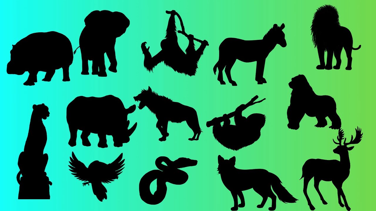 Guess the shadow of the animals quiz| shadow game| learning animals ...