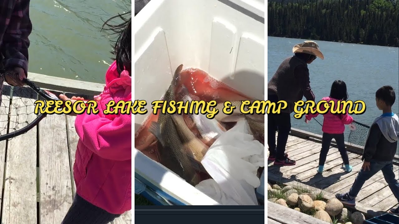 FISHING IS FUN!!! REESOR LAKE & CAMP GROUND, CYPRESS HILLS PROVINCIAL ...