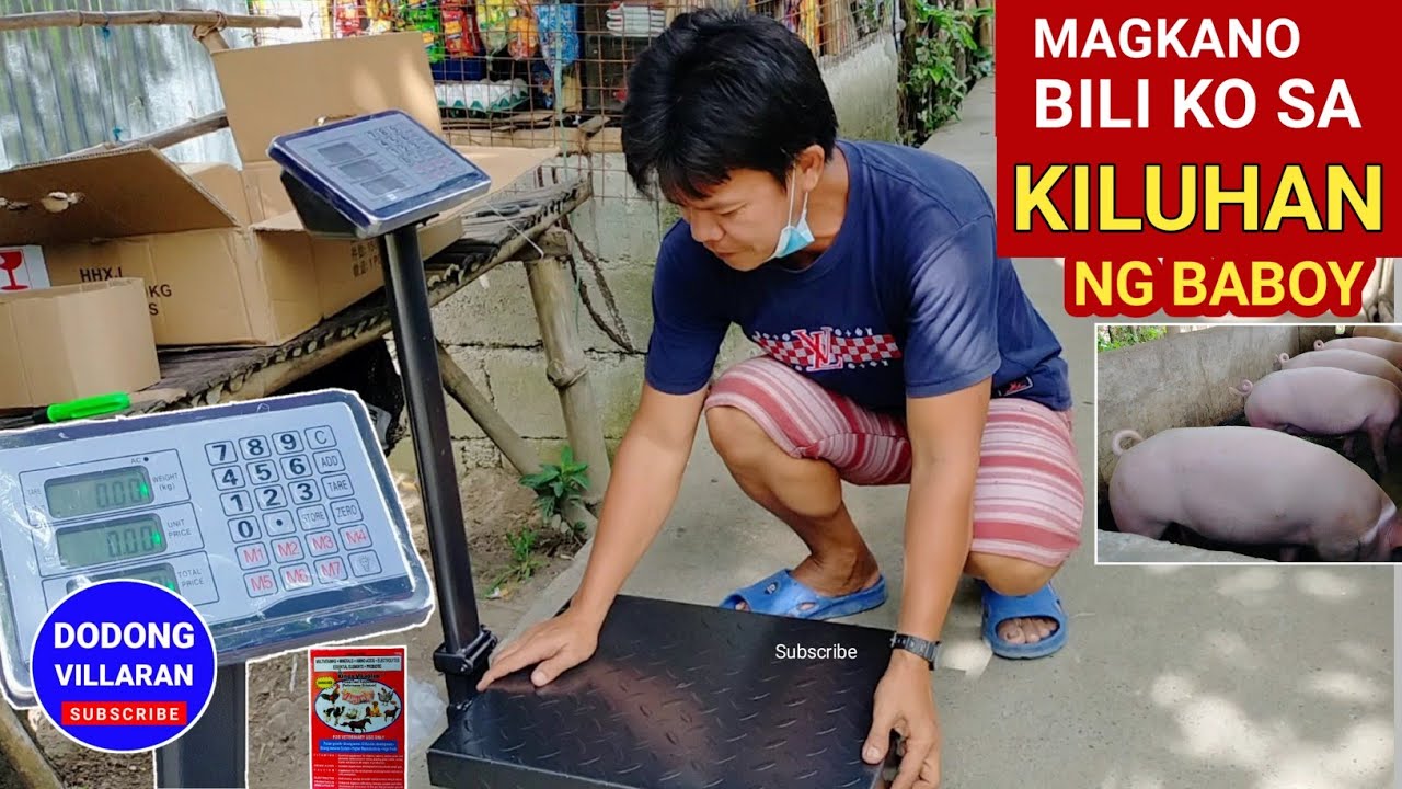 Magkano Bili Ko sa Kiluhan ng Baboy / 366 - YouTube