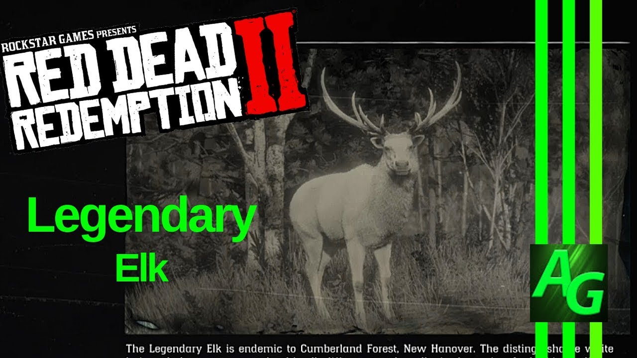 Red Dead Redemption 2 Legendary Elk location - YouTube