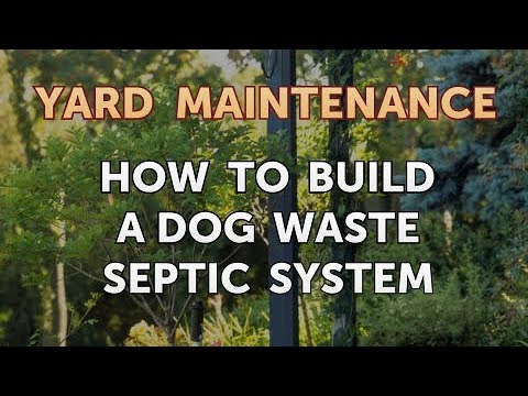 How to Build a Dog Waste Septic System - YouTube