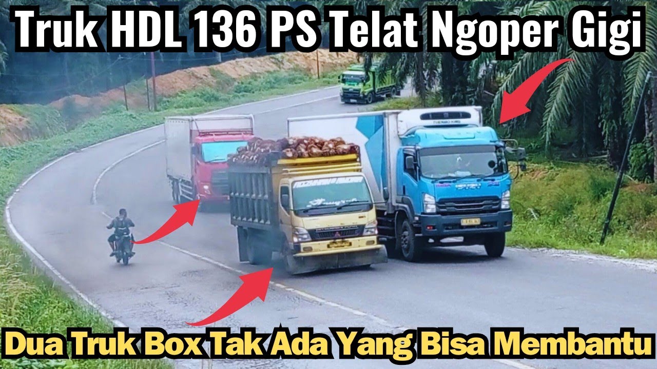 Truk HDL 136 PS Muatan Buah Kelapa Sawit Habis Nafas Telat Ngoper Gigi ...
