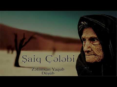 Zəlimxan Yaqub Düşüb Səs  Şaiq Çələbi