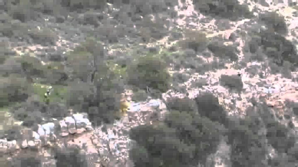 κυνηγι λαγου με γασκωνης_1.avi - YouTube