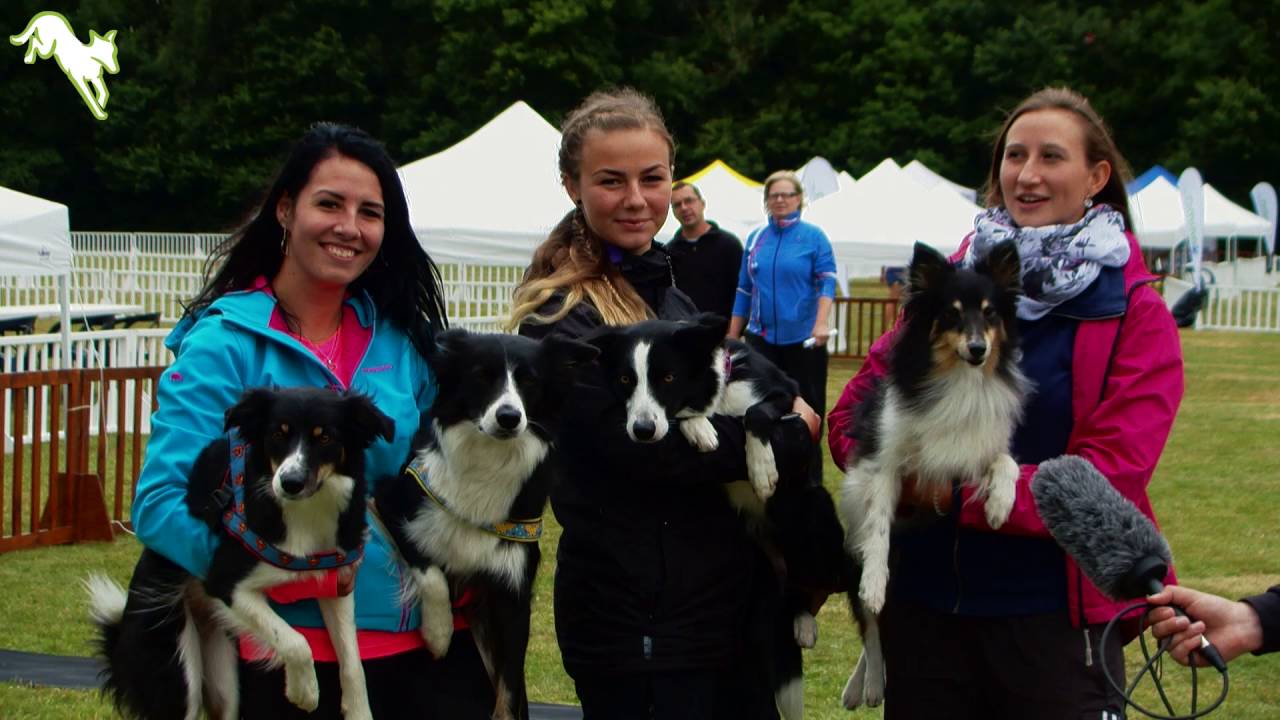 European Open Agility 2016 - Lucie, Eva and Tereza, Czech Republic ...