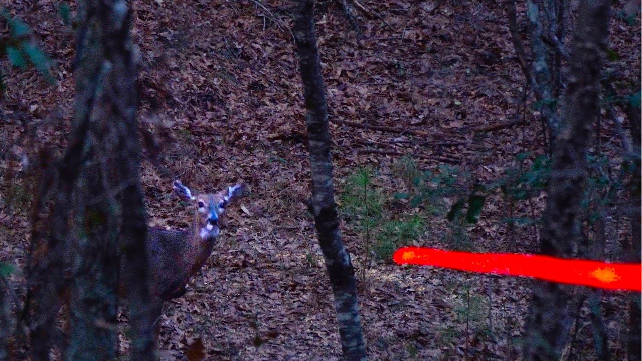 Deer Down! Late Season Bowhunting in Georgia! - YouTube