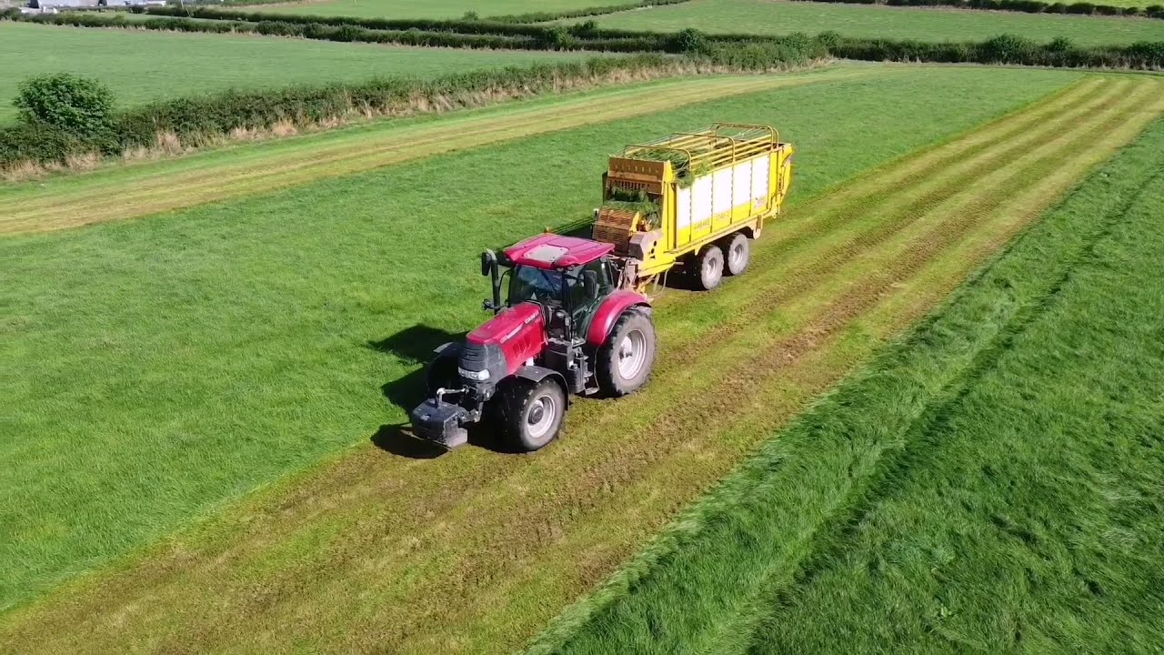 Zero grazing - YouTube