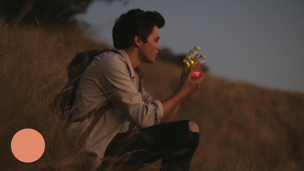 The Collector - YouTube