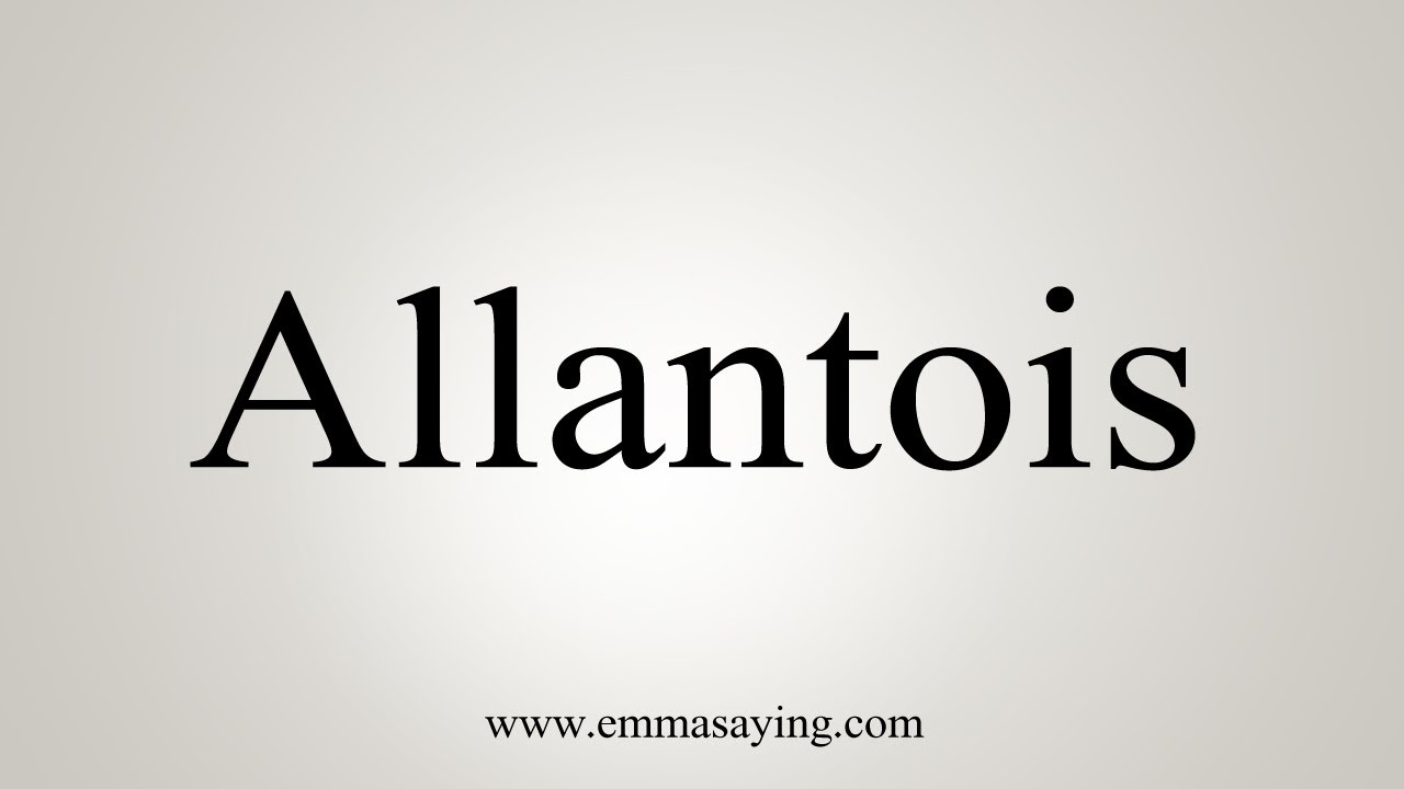 Allantois