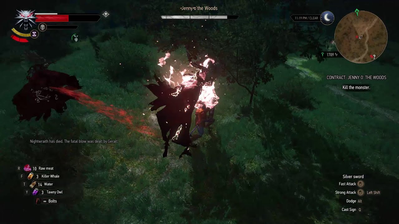 The Witcher 3 - Contract: Jenny O' The Woods - Vengeful Wraith - Ghost ...
