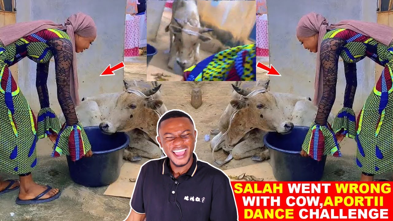 WAHALA🤣: Sallah Festival Cow Went Wrong With Aportii Dance Challenge ...