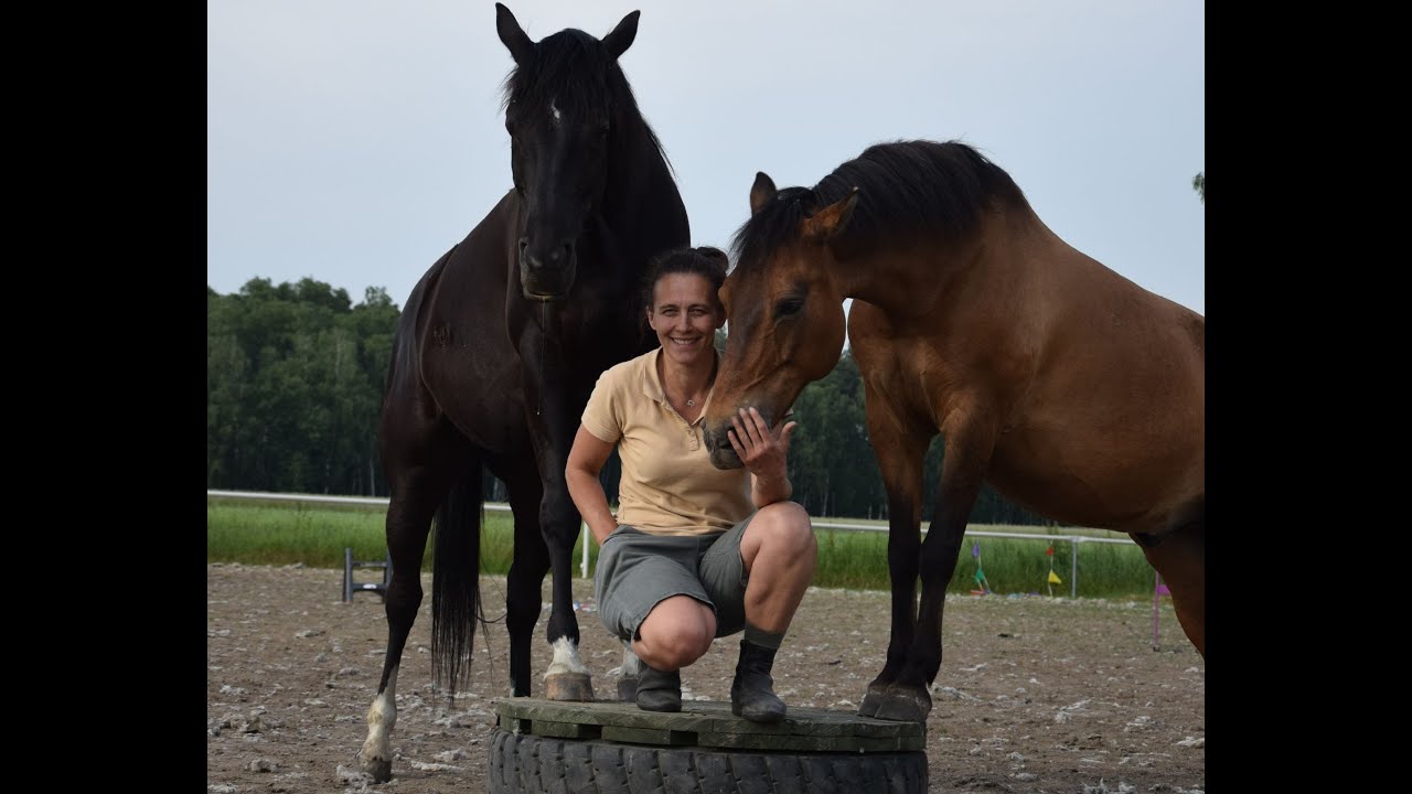 Eliza Filipiak o horse agility i o swej książce - YouTube