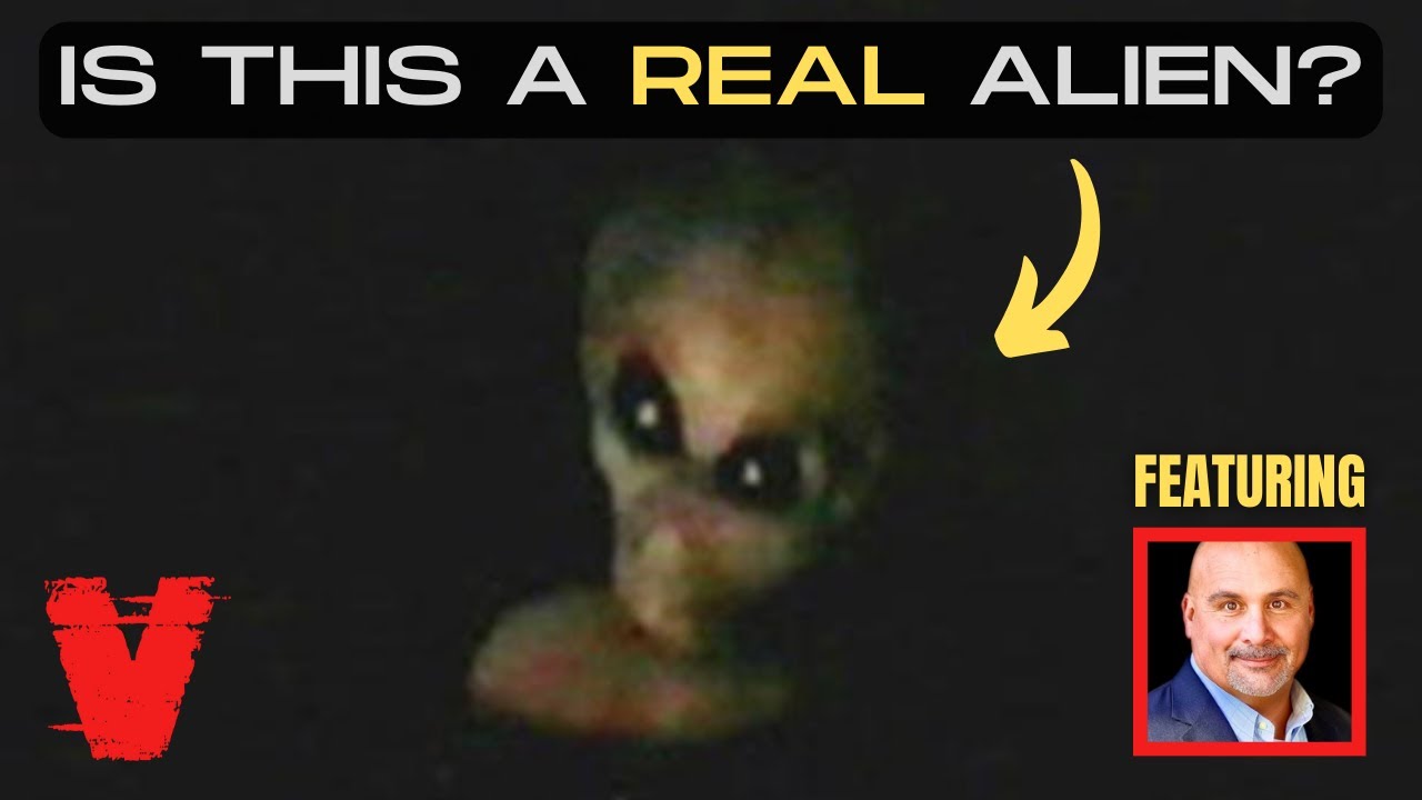 BREAKDOWN: Alien Interview Video & DARPA Scientist Warning - YouTube