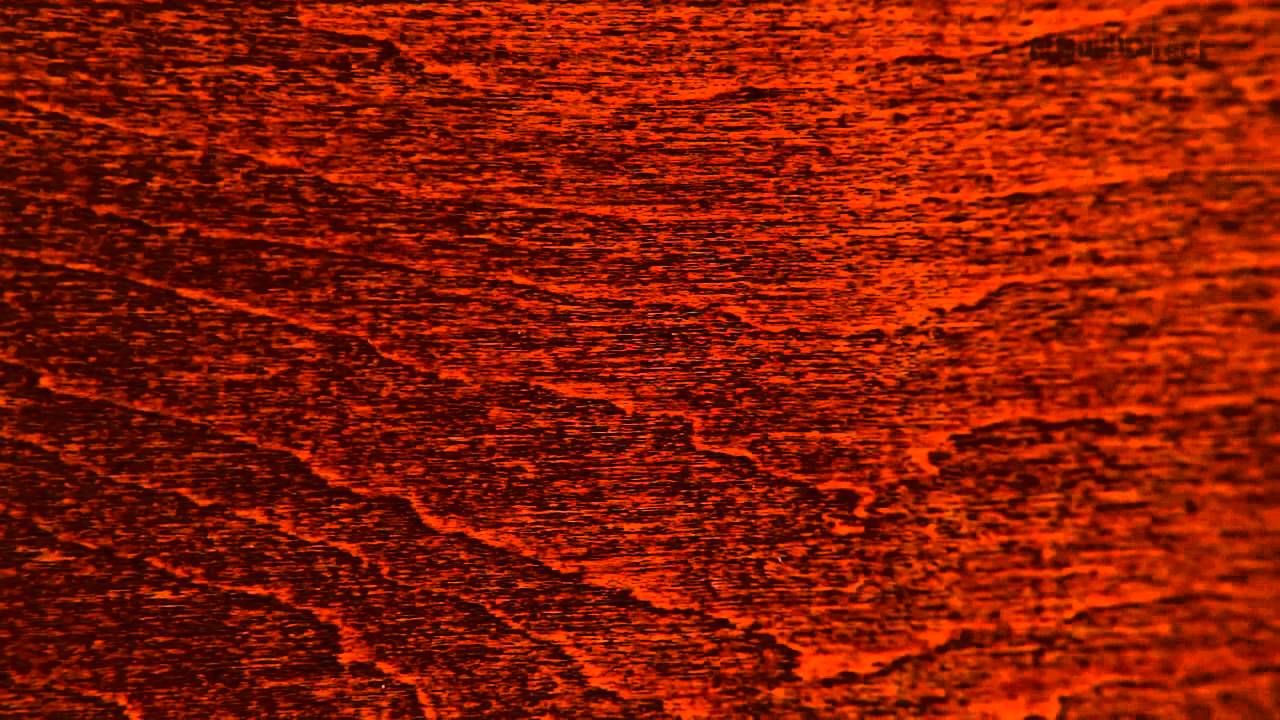 Jasper Harbors Maple Champagne -- Engineered Hardwood Floors Product ...