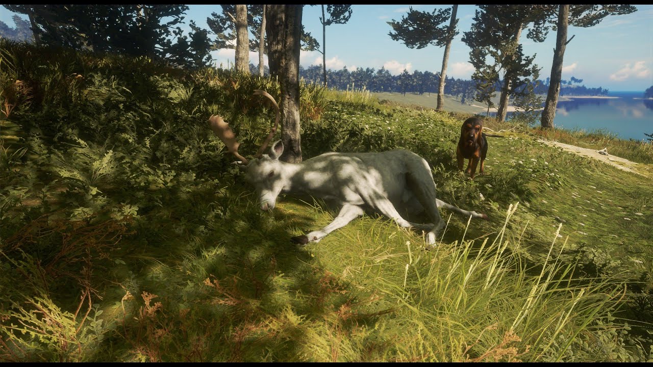 Albinos Daniela The Hunter Call of The Wild#15 - YouTube