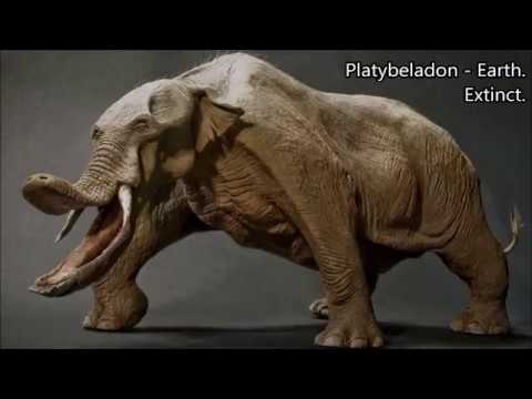 Mars Dinosaur Footprint - Tusk, Lizard & Crab - SD1 - YouTube