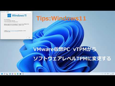 Tips:Windows11 VMware仮想PC  vTPMからソフトウェアレベルTPMに変更する