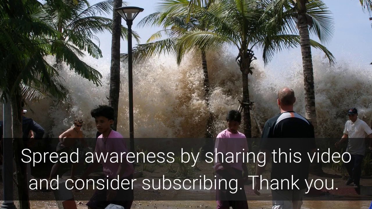 Tsunami: What to Do and How to Survive - YouTube