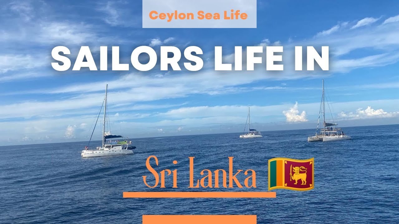 Sailors life in Sri Lanka 🇱🇰 Ceylon, Sailing adventures. #sailing # ...