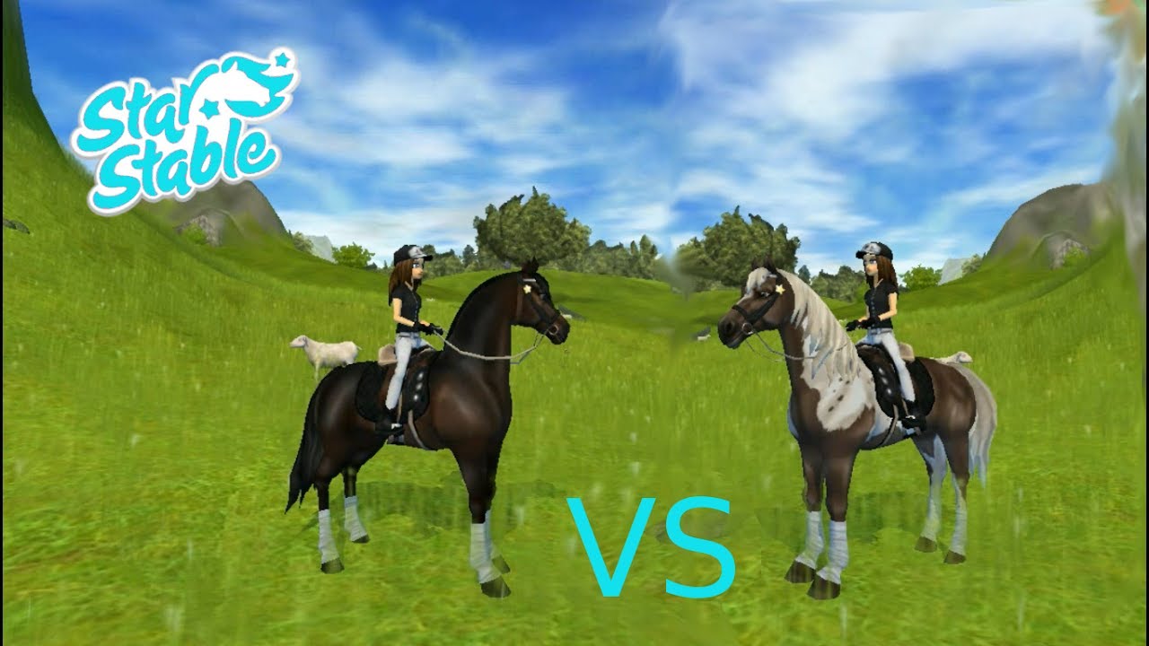 Paint VS Morgan |SSO - YouTube