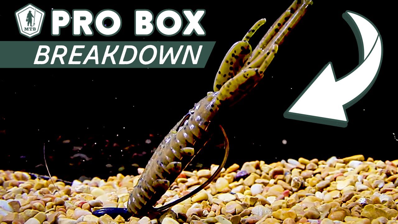 Breaking Down The Baits From a Recent MTB Pro Box with TightLineTV ...