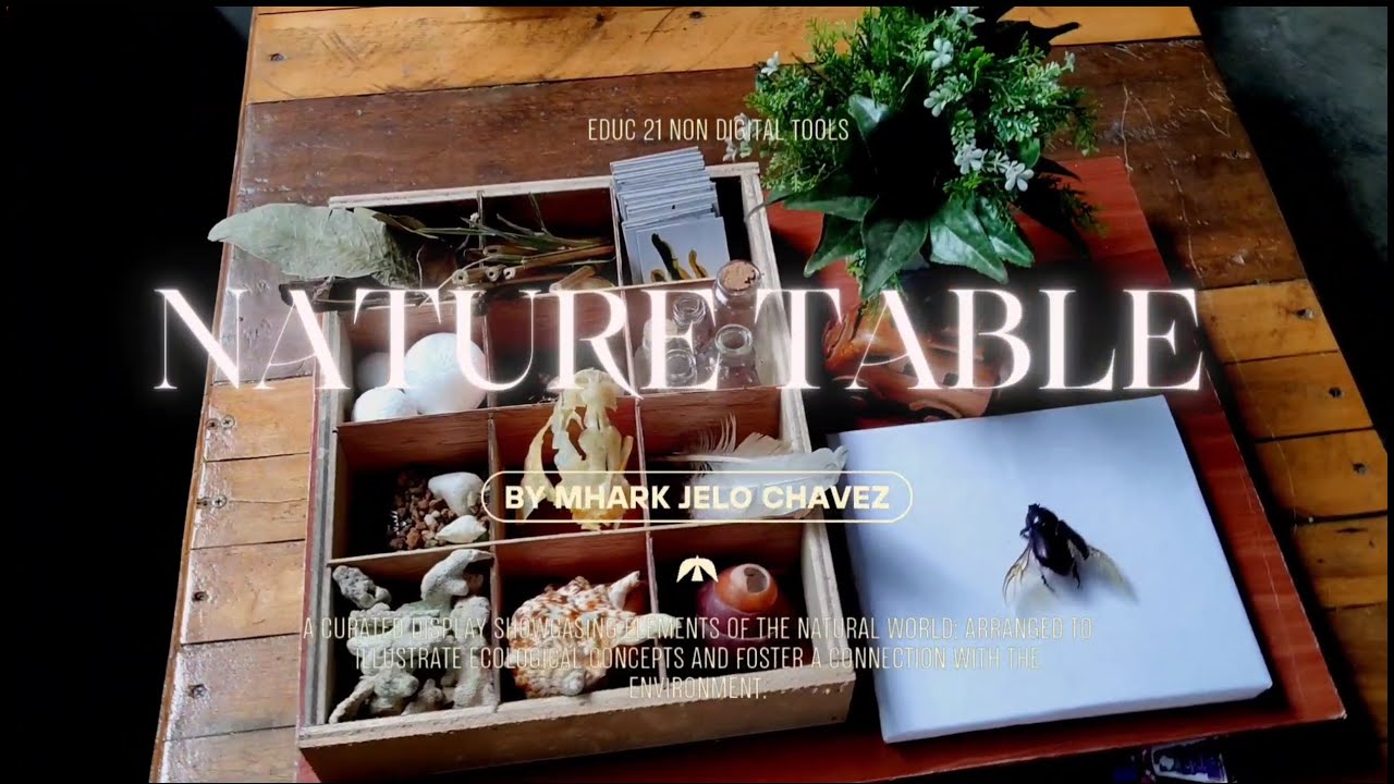 Nature Table | A Connection with the Environment - YouTube