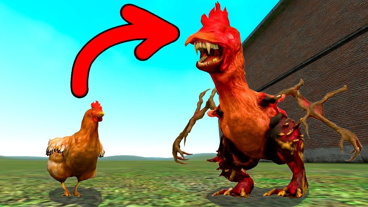 NEW ZOOCHOSIS MUTANT CHICKEN In Garry's Mod - YouTube