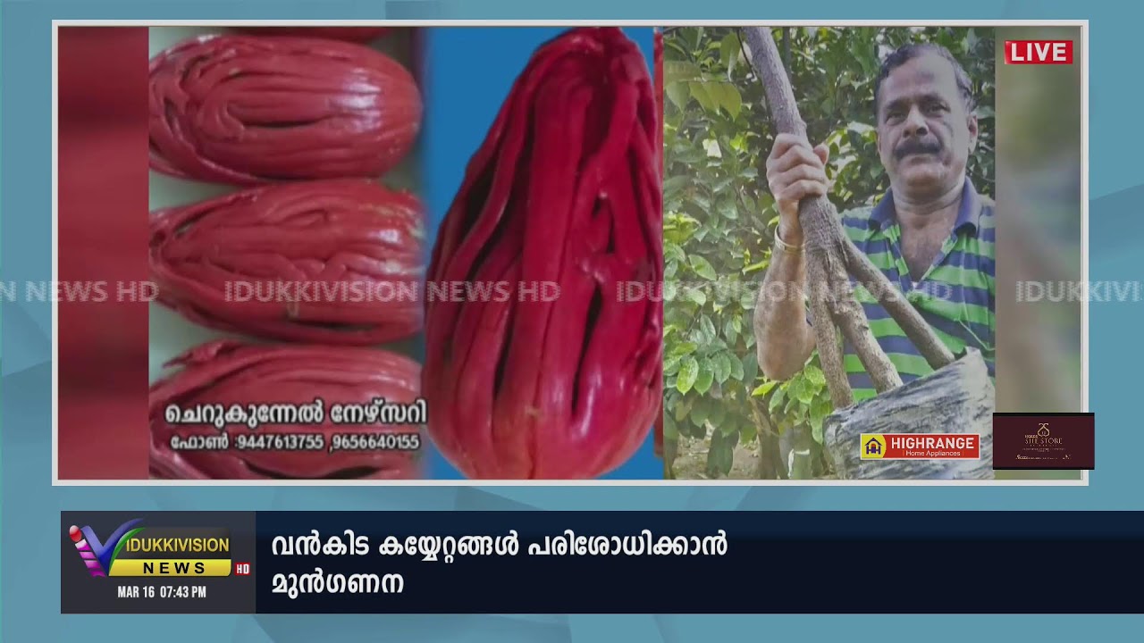 IDUKKIVISION NEWS 7 PM | LIVE | 15 MAR 2025 - YouTube