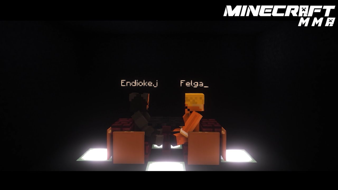 Endii - Szybki Wywiad - (Minecraft MMA 1 - Endii VS Helioset) #10 - YouTube