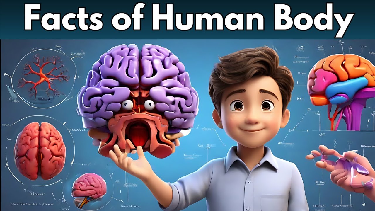 Unveiling the Wonders Within Exploring Cool Anatomy Facts and Defining ...