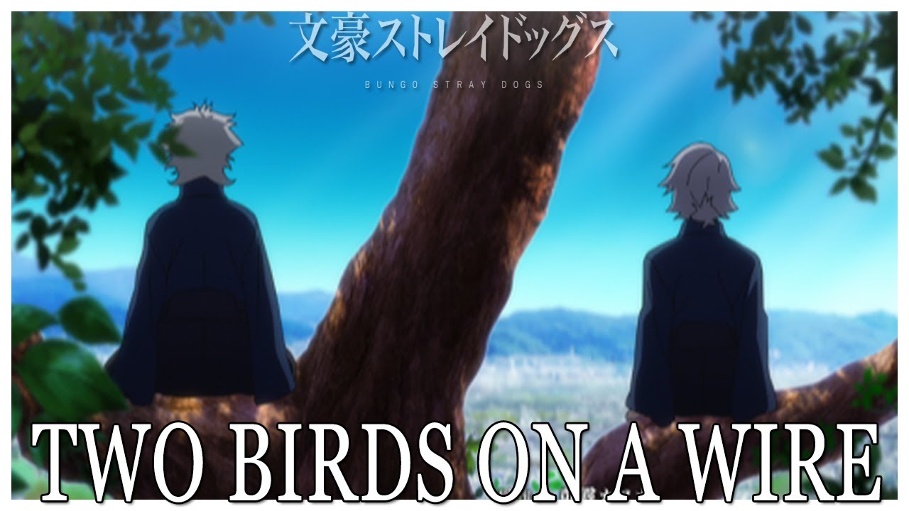 BSD : // FUKUFUKU - TWO BIRDS ON A WIRE [SEASON 5 SPOILERS] - YouTube