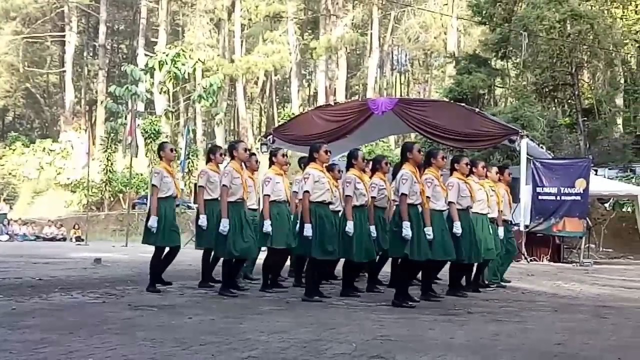 Fancy Drill Pine Tree Cihampelas - Camporee Pathfinder Keren (West Java ...
