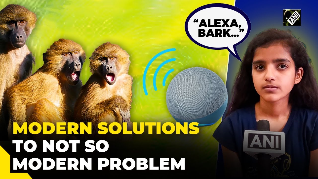 “Alexa, Bark”: UP teen fends off monkey attack by her presence of mind ...
