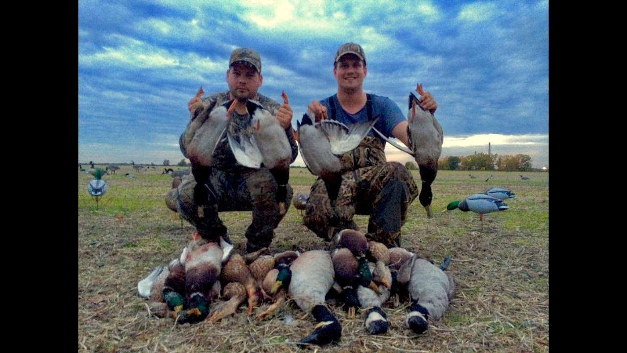 AMAZING ONTARIO FIELD MALLARD HUNT!! - YouTube