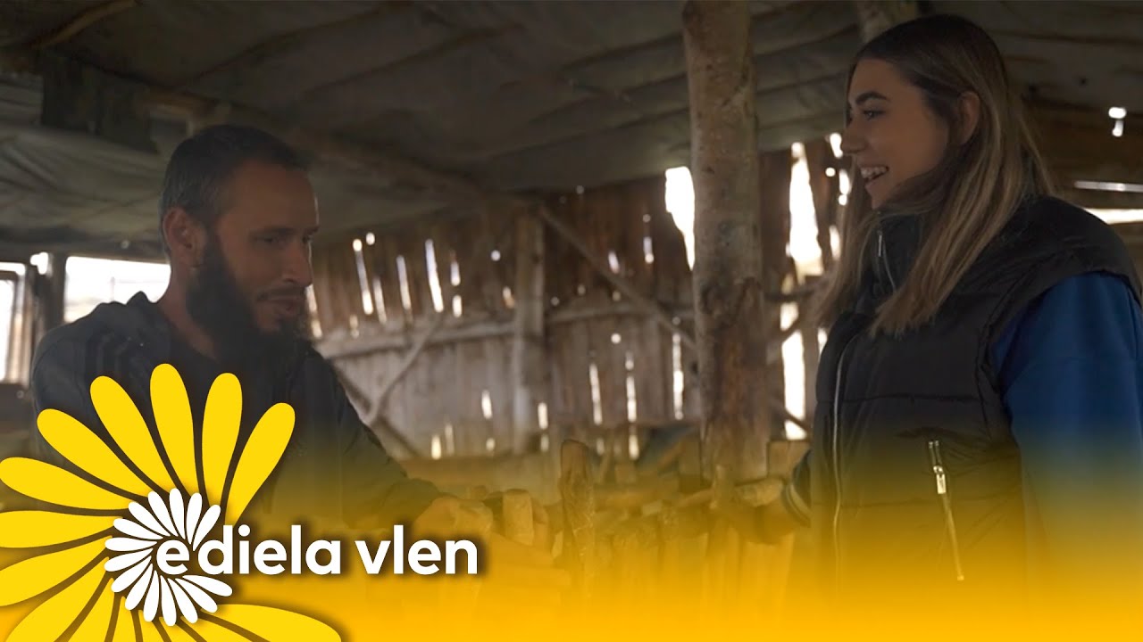 Një ditë në fermën e deleve të familjes Murati - YouTube